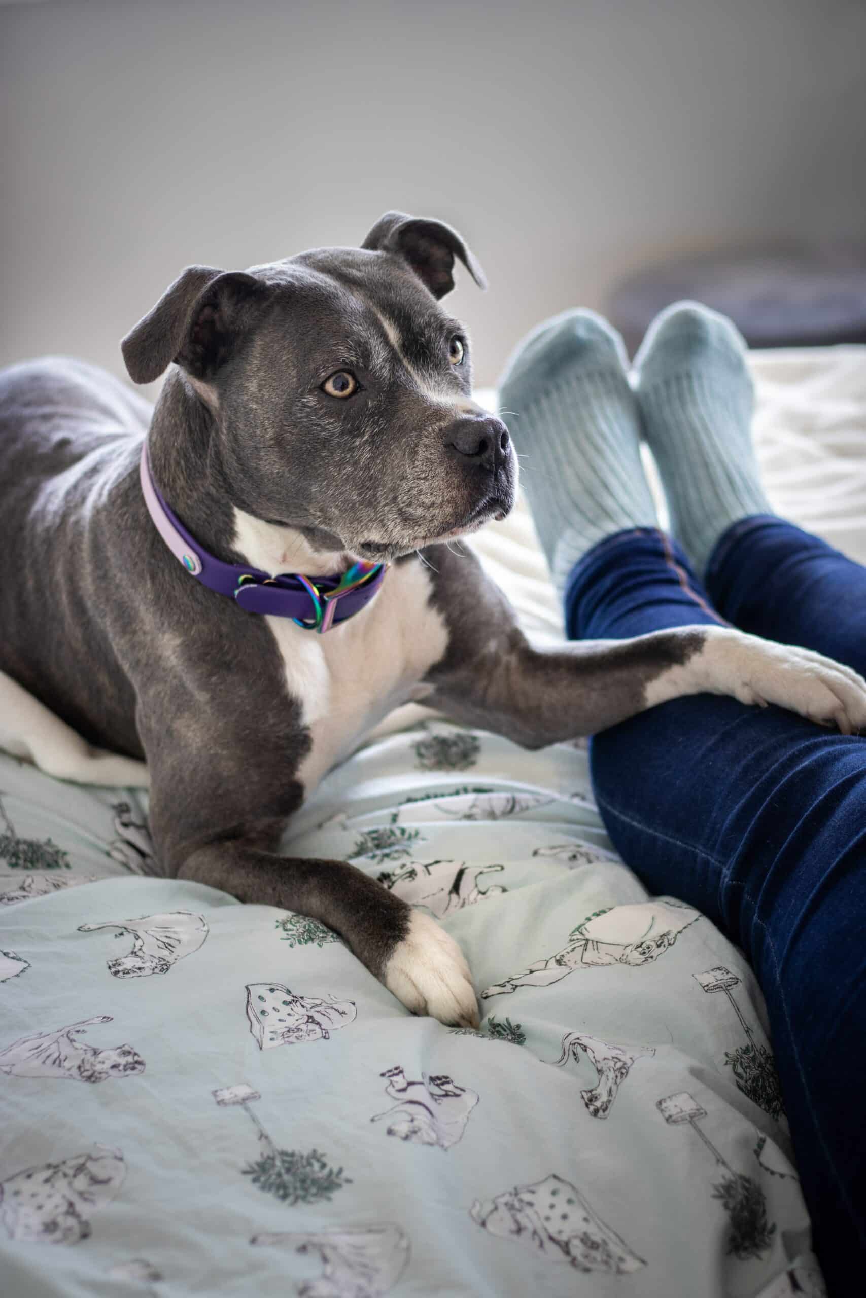 Grounding teenagers does not work | Antelope Recovery